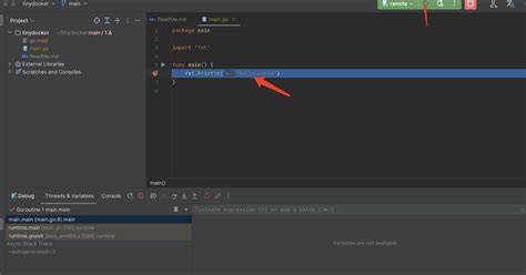 【容器系列】500行代码手写docker开篇 goland远程编译环境配置 docker安装dlv csdn博客