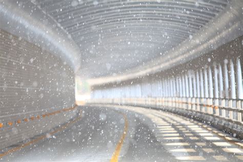 진욱 아주작은사진전시회 꿈속같은세상 그 첫 번째 방생 작품 내마음에너를담아 개정판 출판기념 포레스트 검프가 영문도