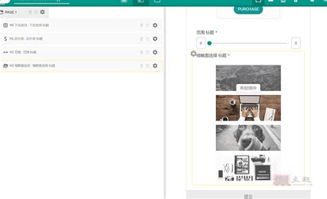 Eform汉化中文版 高级拖曳自定义设计wordpress表单插件介绍 搬主题