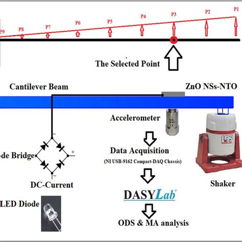 Experimental Setup Of Excited Beam Cantilever Download Scientific Diagram
