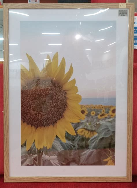 Canvas Frame Decor 70x50cm Hmr Shop N Bid