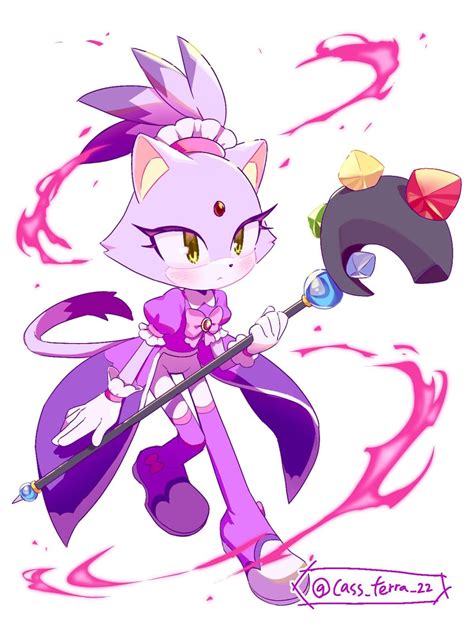 Blaze The Cat And Blaze The Cat Sonic And More Drawn By Cass Terra Danbooru