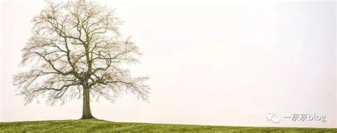 SpringBoot系列教程Web篇之开启GZIP数据压缩 灰信网软件开发博客聚合