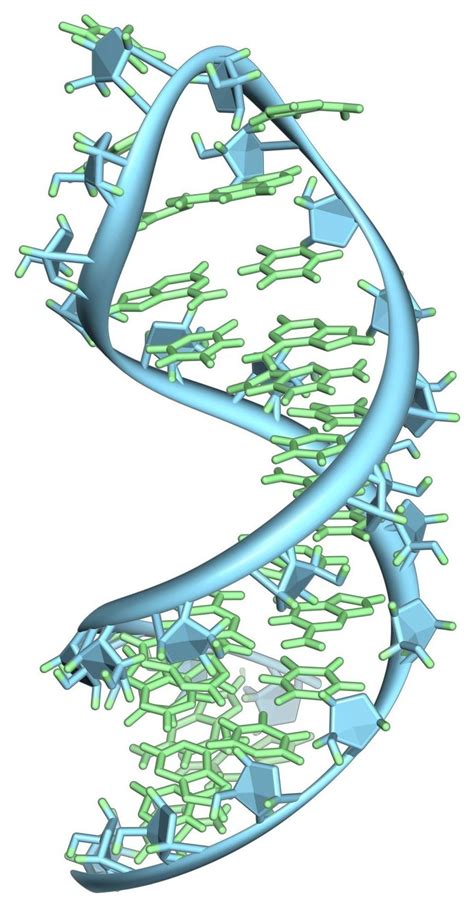 Building Blocks Of DNA And RNA Could Have Appeared Together Before Life Began On Earth