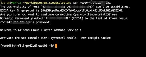 Create An E Commerce Web App With Nodejs Express Framework And Mongodb On Alibaba Cloud