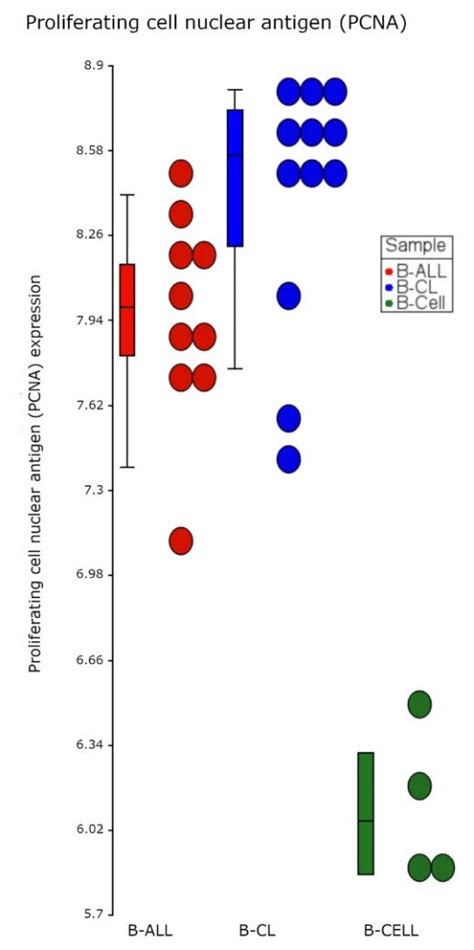 Dot Plot Expression Of Proliferating Cell Nuclear Antigen Pcna In Download Scientific Diagram