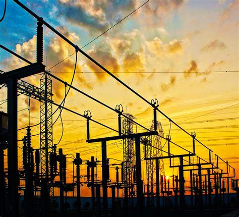 Our Services Include