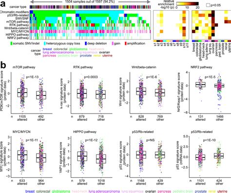 Somatic Mutations And Associated Pathways A Pathway Centric View Of