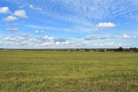 Landscape Field Of Green Grass Forest Areas A Flock Of Birds Stock