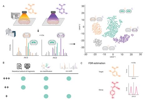 General Workflow Of Matrix Adduct Discovery Using Sil Maldi Msi A Download Scientific