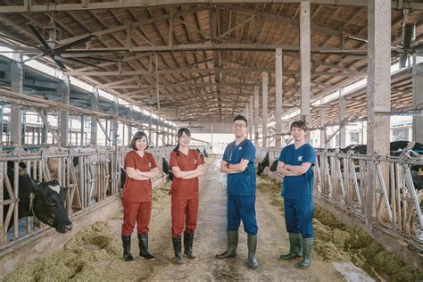 鮮乳坊8周年！推出4款「牧場特色鮮奶茶」喝出純淨風土滋味 Verse