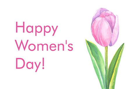 손으로 그린 수채화 튤립으로 인사하는 국제 여성의 날을 축하합니다 0명에 대한 스톡 벡터 아트 및 기타 이미지 0명 계절 구근 식물 Istock