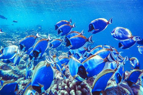 Relevanz Von Open Source Software In Deinem Unternehmen Openstream