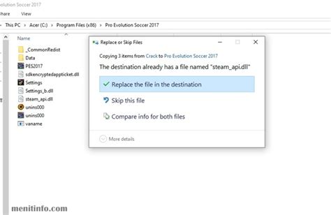 unable to initialize steam api cracked game pagalbum