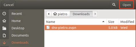 Configure Openvpn Connection Dnx One