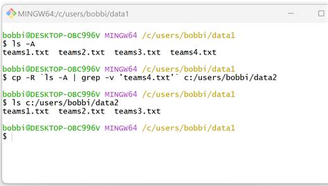 Bash How To Copy All Files Except One Collecting Wisdom