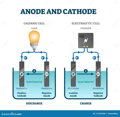 Anode And Cathode Scientific Physics Education Diagram Vector Illustration Labeled Scheme Stock
