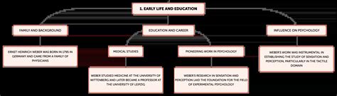 Ernst Heinrich Weber And His Contributions To Psychology Algor Cards