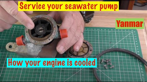 Service Your Sea Water Raw Water Pump How Its Cooled Part 2 Yanmar