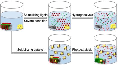 Schematic Of Photocatalysis Method Over Solubilizing Catalyst Compared Download Scientific