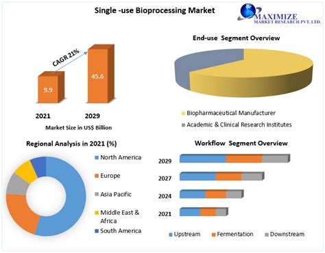 Single Use Bioprocessing Market Global Industry Analysis Forecast 2029