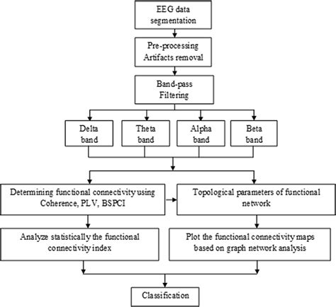 proposed flow chart for quantifying functional connectivity download