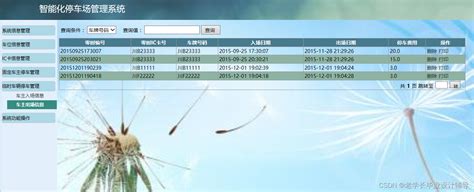 使用jsp servlet构建的智能停车场管理系统 csdn博客