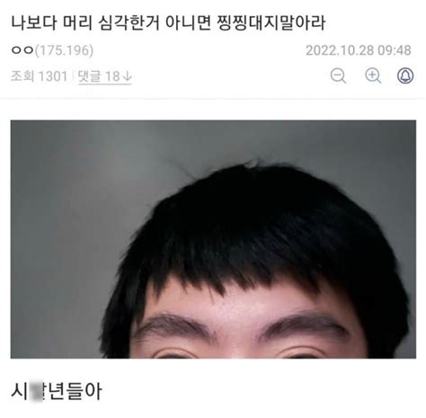 디시인사이드 헤어 갤러리 레전드 총집합 대참사 유머월드