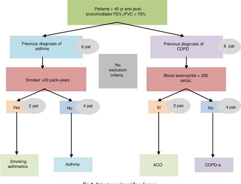 Figure 1 From Accuracy Of A New Algorithm To Identify Asthma Copd Overlap Aco Patients In A