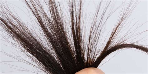 Top Ways To Prevent Split Ends In Winters