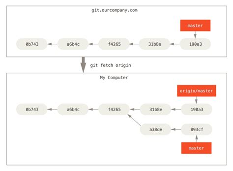git remote branches