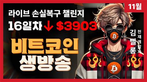비트코인 16일차 누적 수익 3903불 자동매매 시드 복구 끝 양전 시작 Youtube
