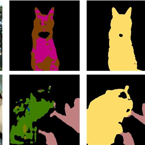 Examples Of Open Set Semantic Segmentation Left Column Input Images