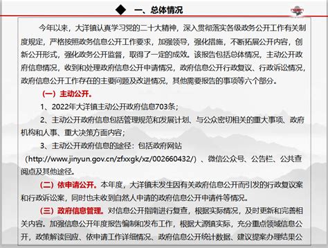 （图解）2022年大洋镇政府信息公开工作年度报告