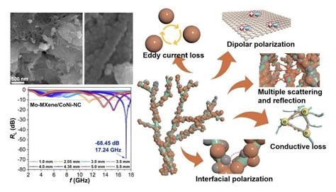 Construction Of Dual Heterogeneous Interface Between Zigzag Like Mo