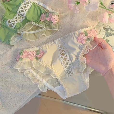 Embroidered Floral Corset Panties Underwear Ddlg Playground