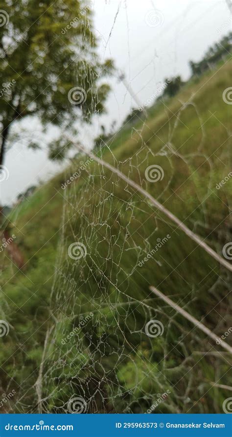 Spider Web Architecture Stock Image 93592099