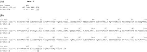 A From Exon 1 To Exon 6 The Dna Sequence Of B57164 Is Identical To Download Scientific