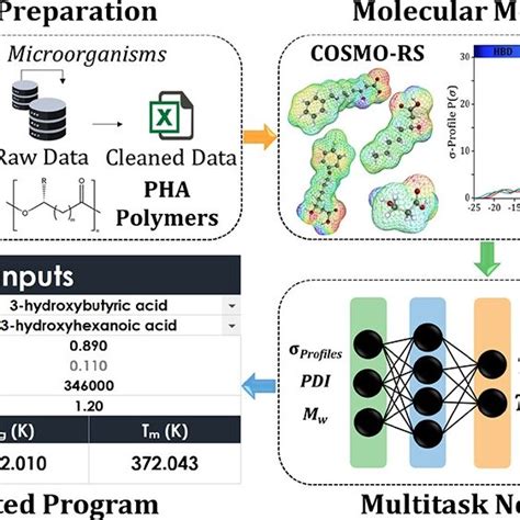 Polyhydroxyalkanoate Pha General Structure Download Scientific Diagram
