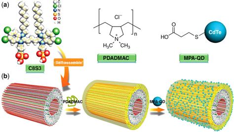 Colloidal J Aggregate Qd Nanohybrid Formed In Solution Via The Download Scientific Diagram