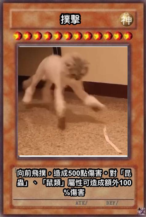撲擊