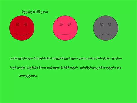 Tamar Gelashvili Ppt