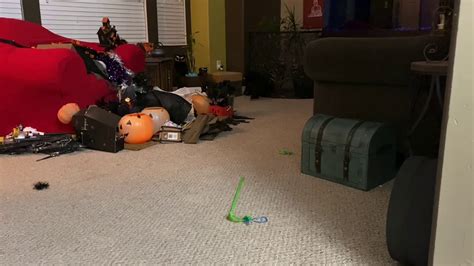 Fetchin Kitty Youtube