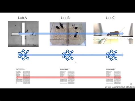 Free Video Ai For Scientists Accelerating Discovery Through Knowledge