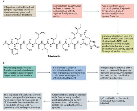 Nat Rev Drug Discov 药物发现中的天然产物：进展与机遇 知乎