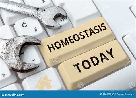 Handwriting Text Homeostasis Internet Concept The Tendency Toward A Equilibrium Between