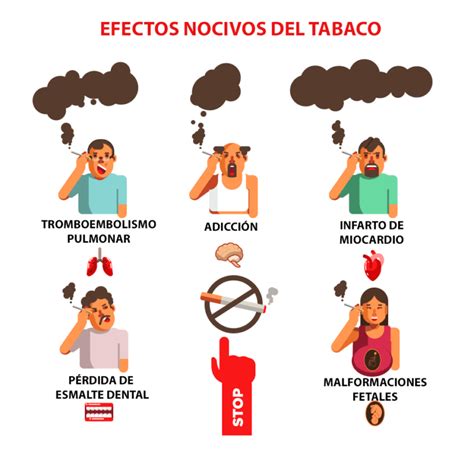 Tabaco Efectos De La Nicotina En El Cerebro Y El Cuerpo
