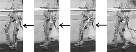 Figure 23 From Construction Of Gait Adaptation Model In Human Splitbelt Treadmill Walking