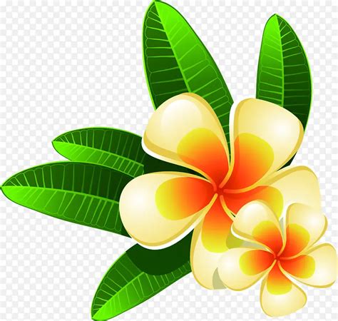 卡通花朵鸡蛋花造型PNG图片素材下载 图片编号ywwplzbv 免抠素材网