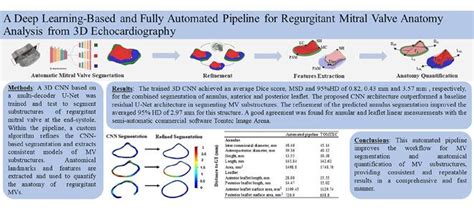 A Deep Learning Based Fully Automated Pipeline For Regurgitant Mitral Valve Anatomy Analysis